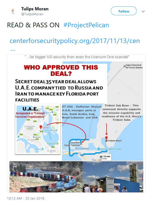 Project Pelican 1 – American Intelligence Media