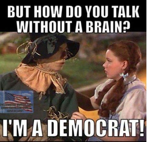 talk without a brain – American Intelligence Media