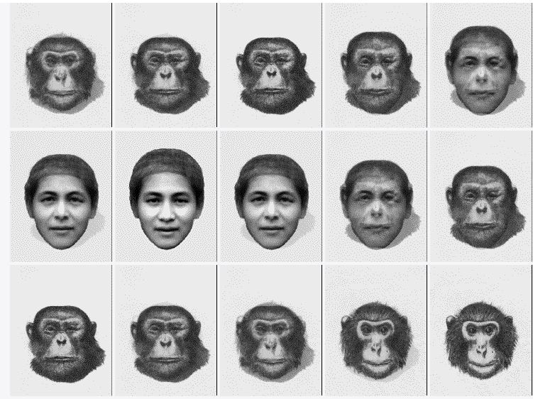 walker split frames – American Intelligence Media