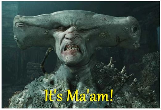 its maam – American Intelligence Media