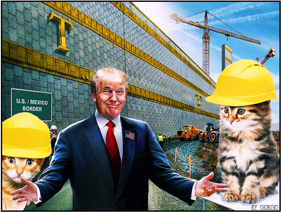 trump cat 2 – American Intelligence Media