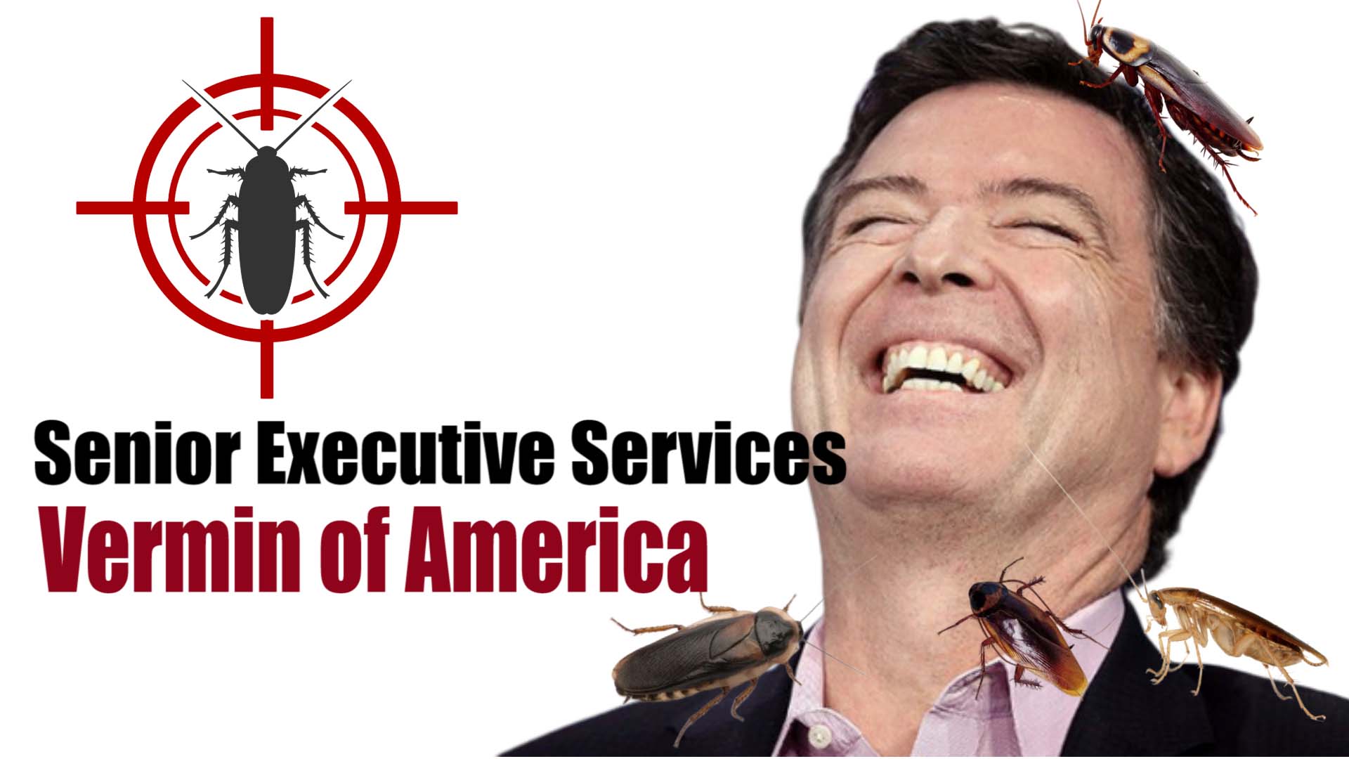 VERMIN ALERT! Senior Executive Services are crawling all over D.C ...